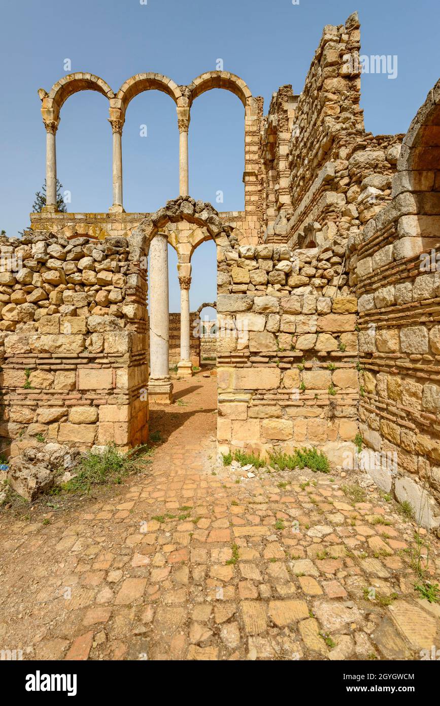 LEBANON, BEKAA, BEQAA VALLEY, RUINS OF THE UMAYYAD CITY OF ANJAR ...