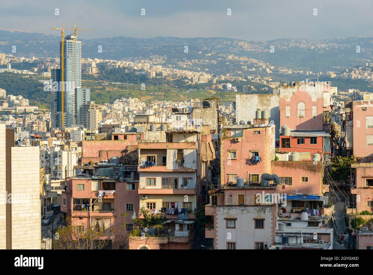 Ghabi hi-res stock photography and images - Alamy