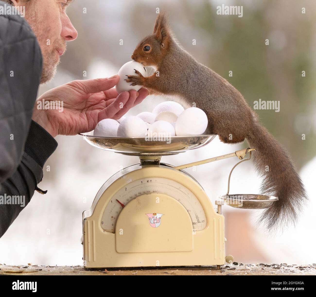 Eggs on a scale hi-res stock photography and images - Alamy