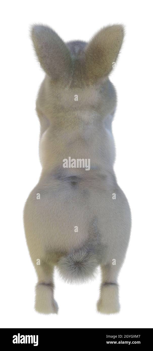 Autumn card cute rabbit Cut Out Stock Images & Pictures - Alamy