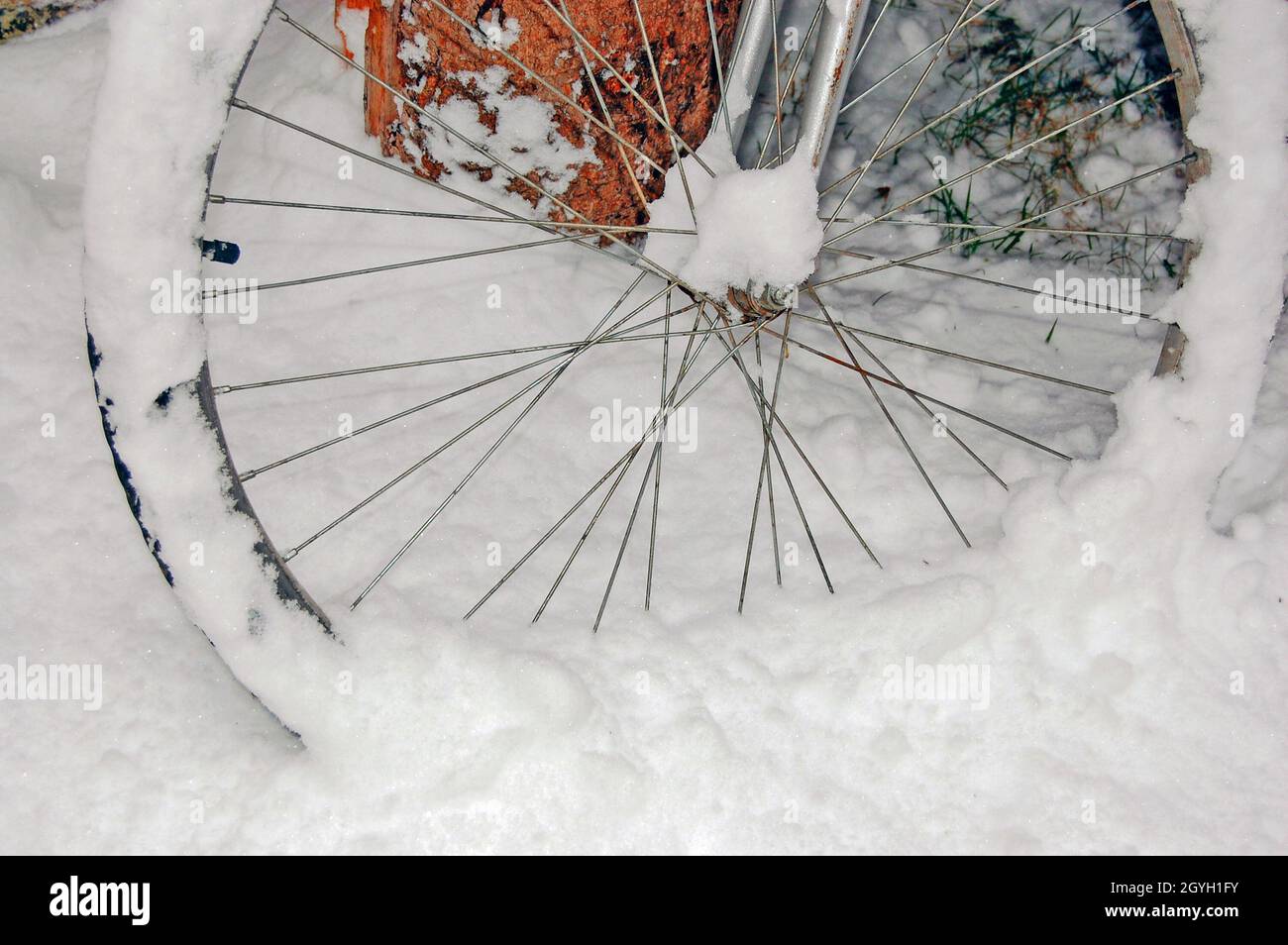 Old bike in garden covered with snow Stock Photo - Alamy