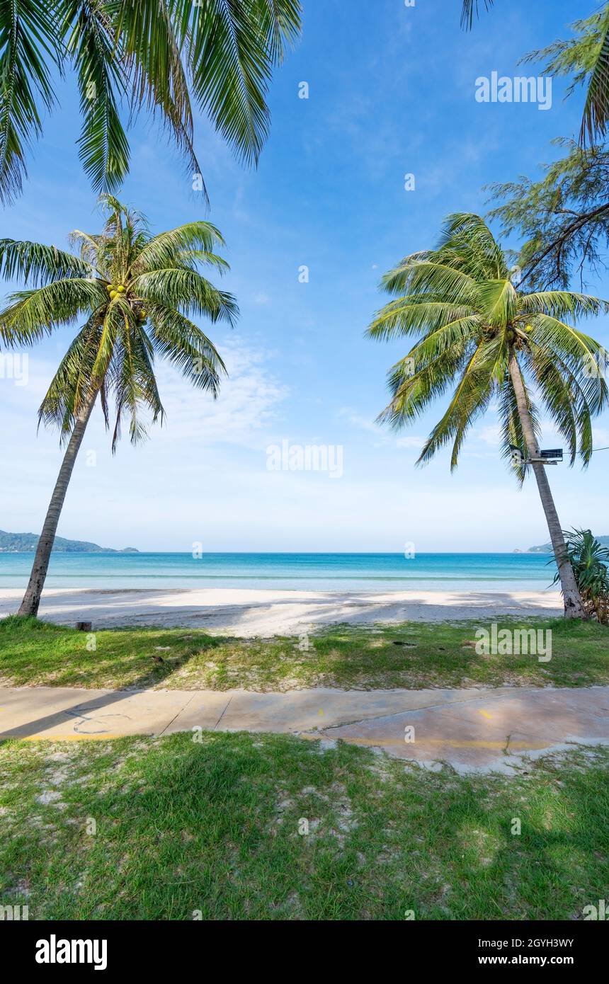 Phuket patong beach Summer beach with palms trees around in Patong ...