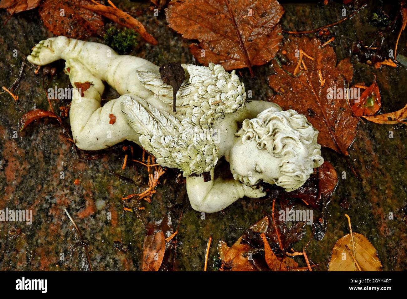 sweet angel figure on a grave in autumn with fallen leaves Stock Photo ...