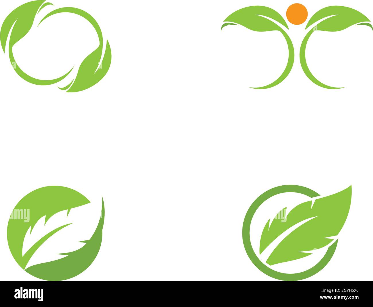 green leaf logo vector template Stock Vector Image & Art - Alamy