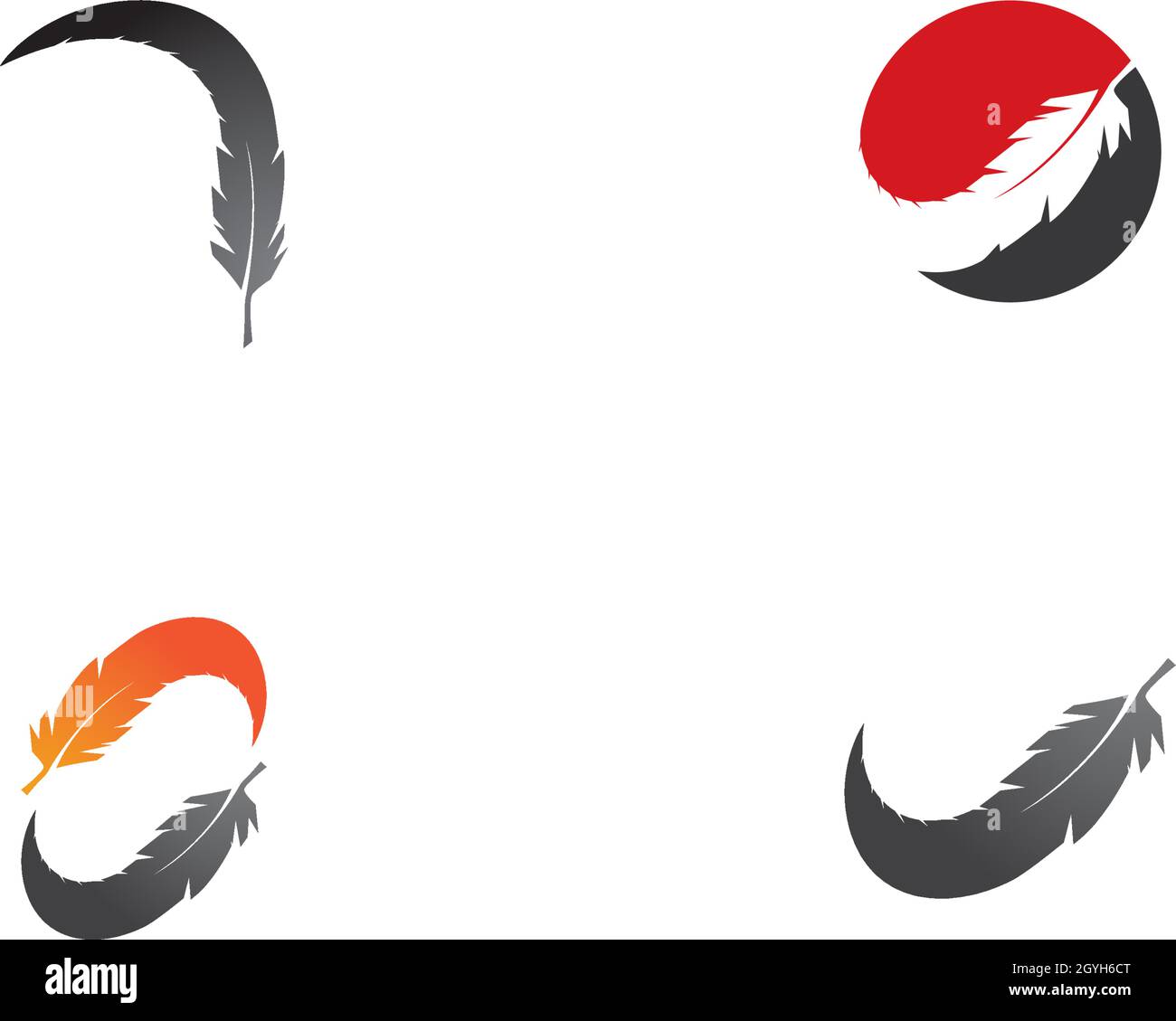 feather logo vector template Stock Vector Image & Art - Alamy