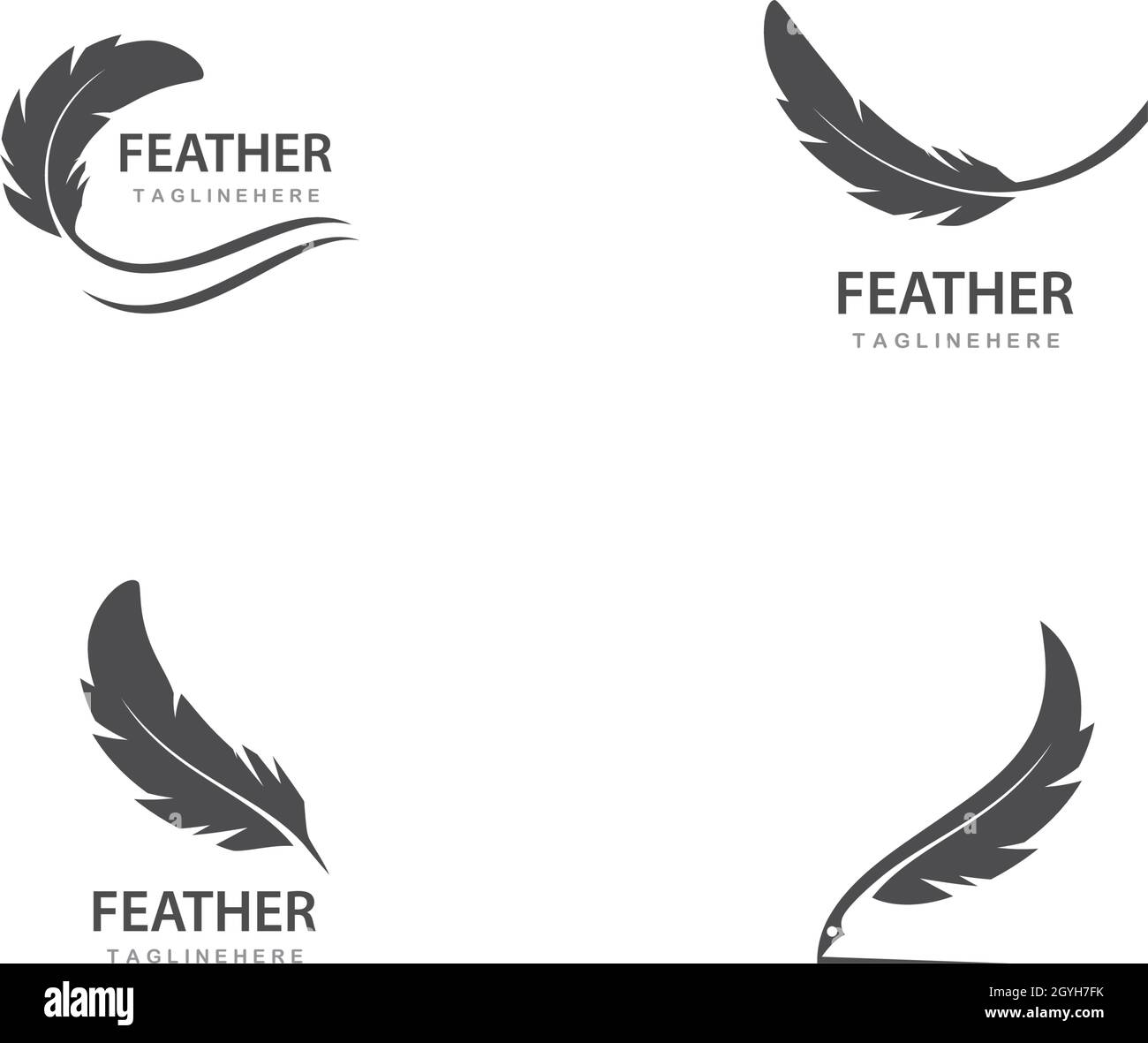 feather logo vector template Stock Vector Image & Art - Alamy