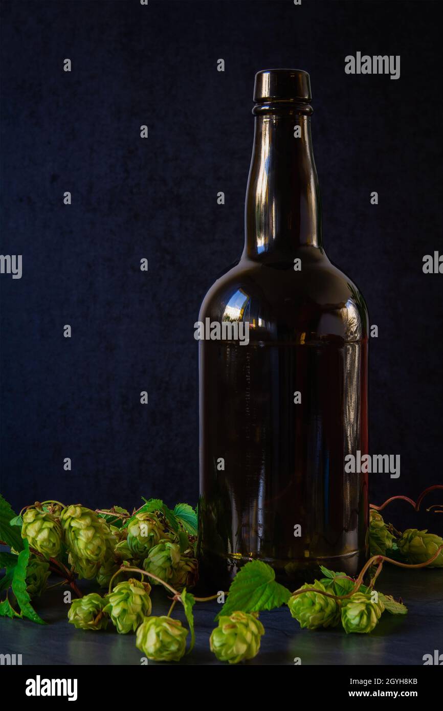 Brown retro beer bottle on stone background with hop plant. Dark drink ...