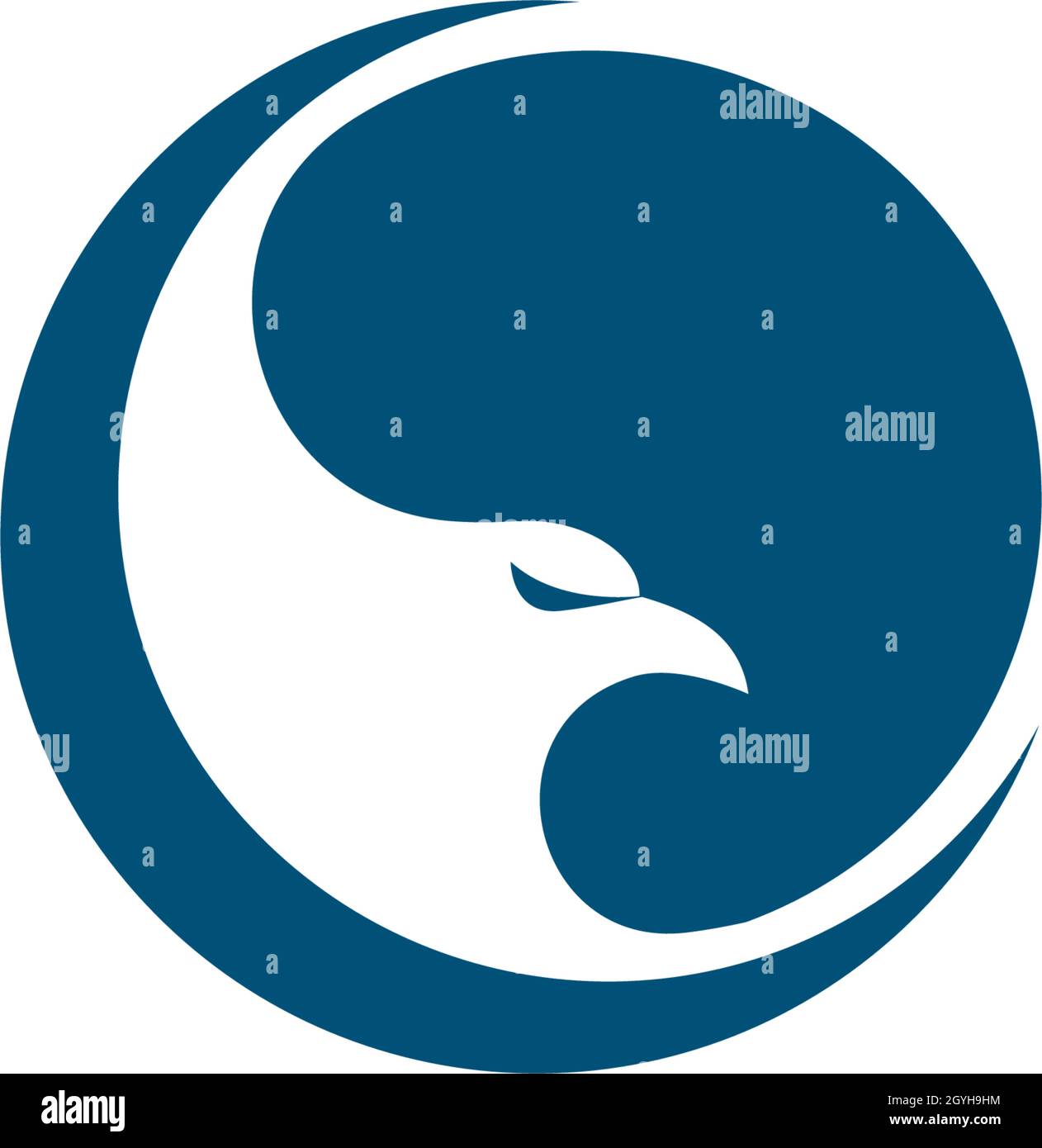 Falcon Bird Logo Template Stock Vector Image & Art - Alamy