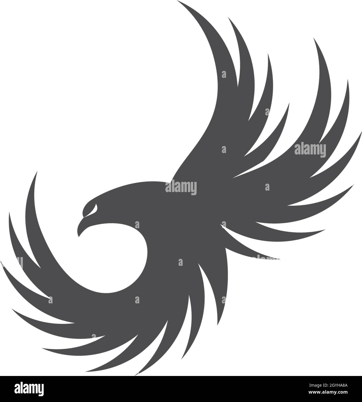 Falcon Bird Logo Template Stock Vector Image & Art - Alamy