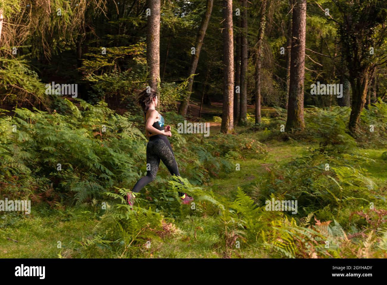 woman running through the bush training for a trail race Stock Photo ...
