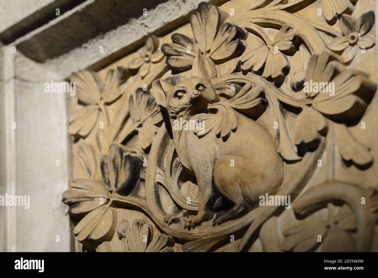 Stone carved fox hi-res stock photography and images - Alamy