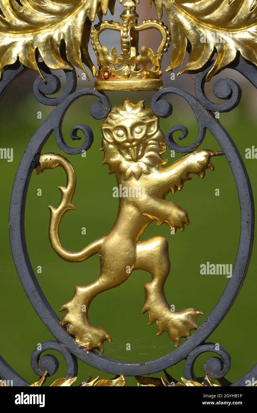 Lion gold crown hi-res stock photography and images - Alamy