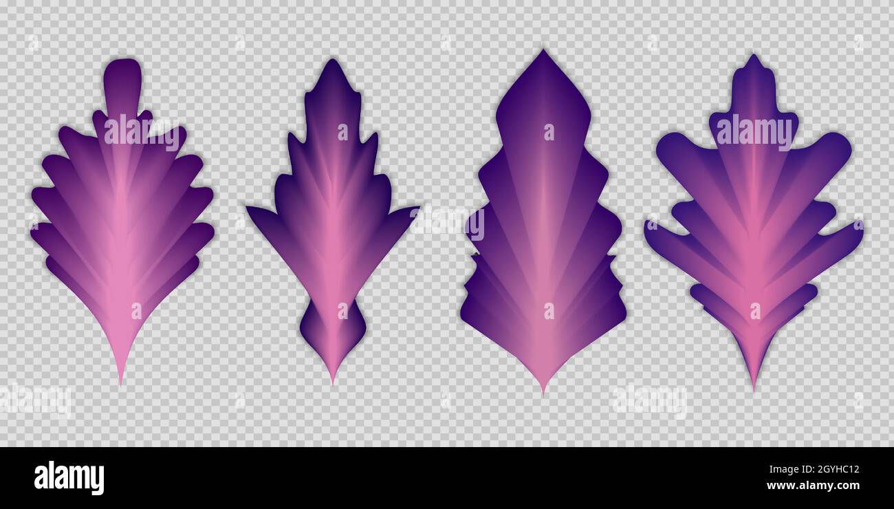 Set of Realistic Violet Leaves Collection on a transparent background ...