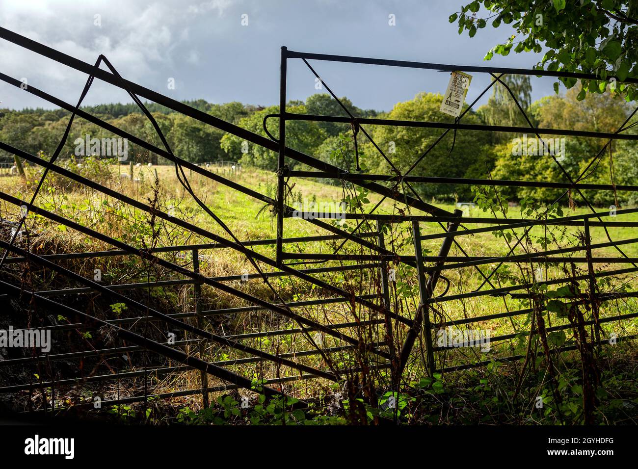 bar, door, doorway,, exit, fence, port, access, conduit, egress ...