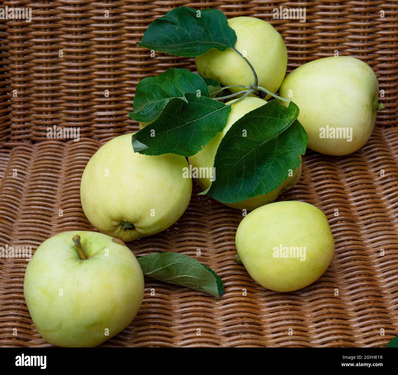 Nutrition vitamin filling in hi-res stock photography and images - Alamy