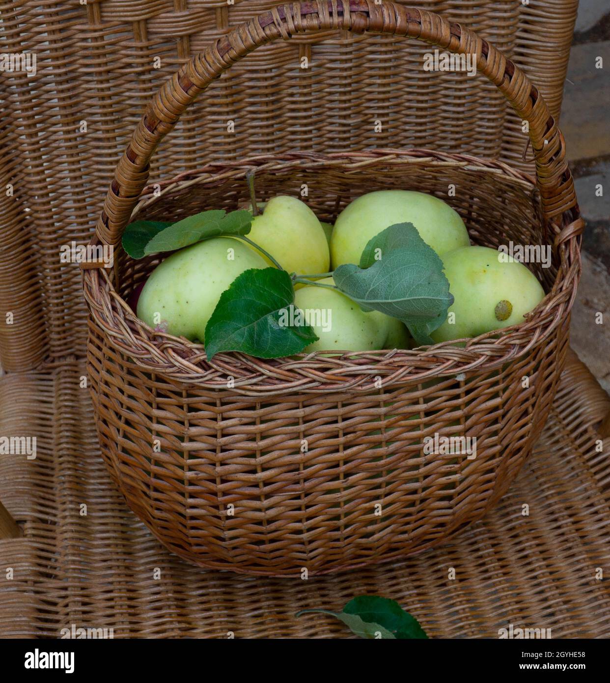 Green apples (white filling) in a basket Stock Photo - Alamy