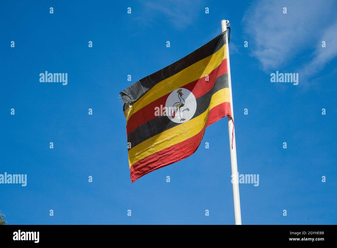 Closeup of Uganda flag waving in the wind in the blue sky background ...