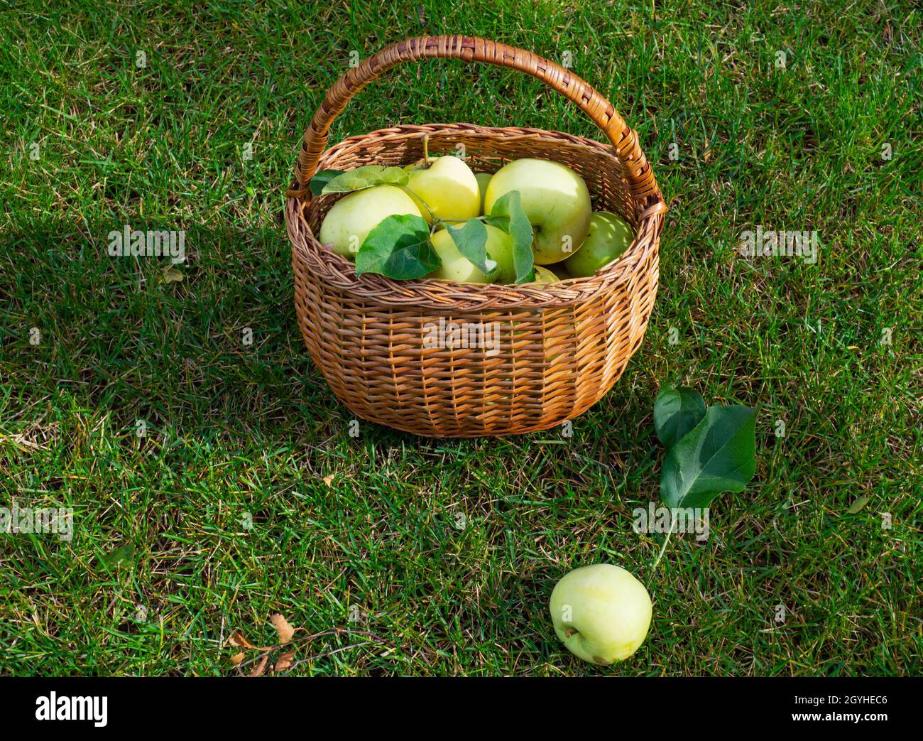 White filling hi-res stock photography and images - Alamy