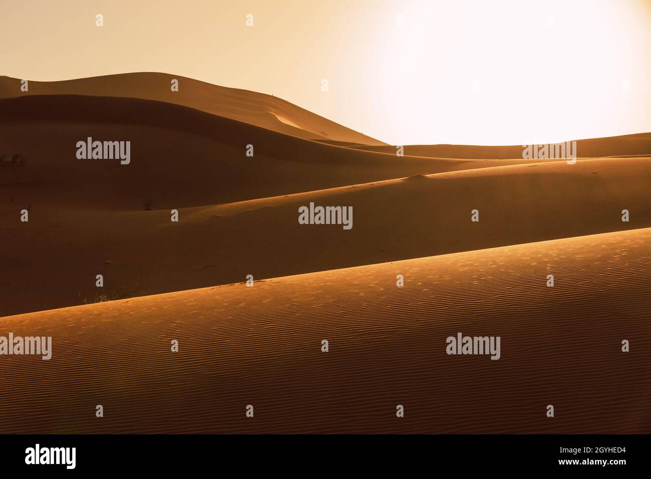 Textures of the desert hi-res stock photography and images - Alamy