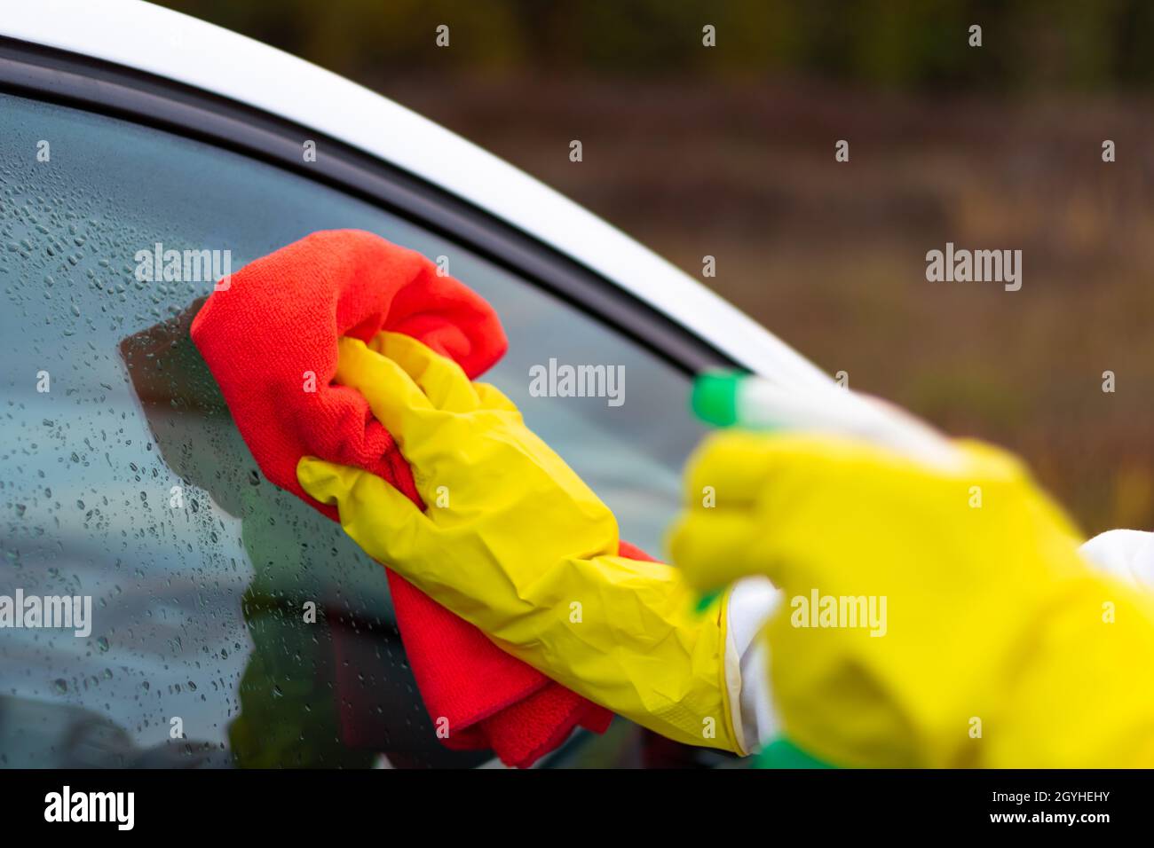 Hands in yellow rubber gloves wipe the glass of a car with a red rag ...