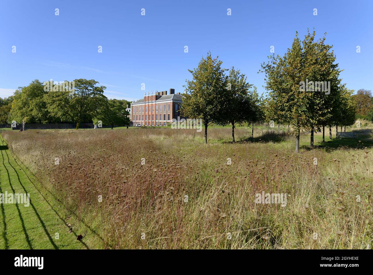 London, England, UK. Kensington Gardens: Wildflower meadow by ...