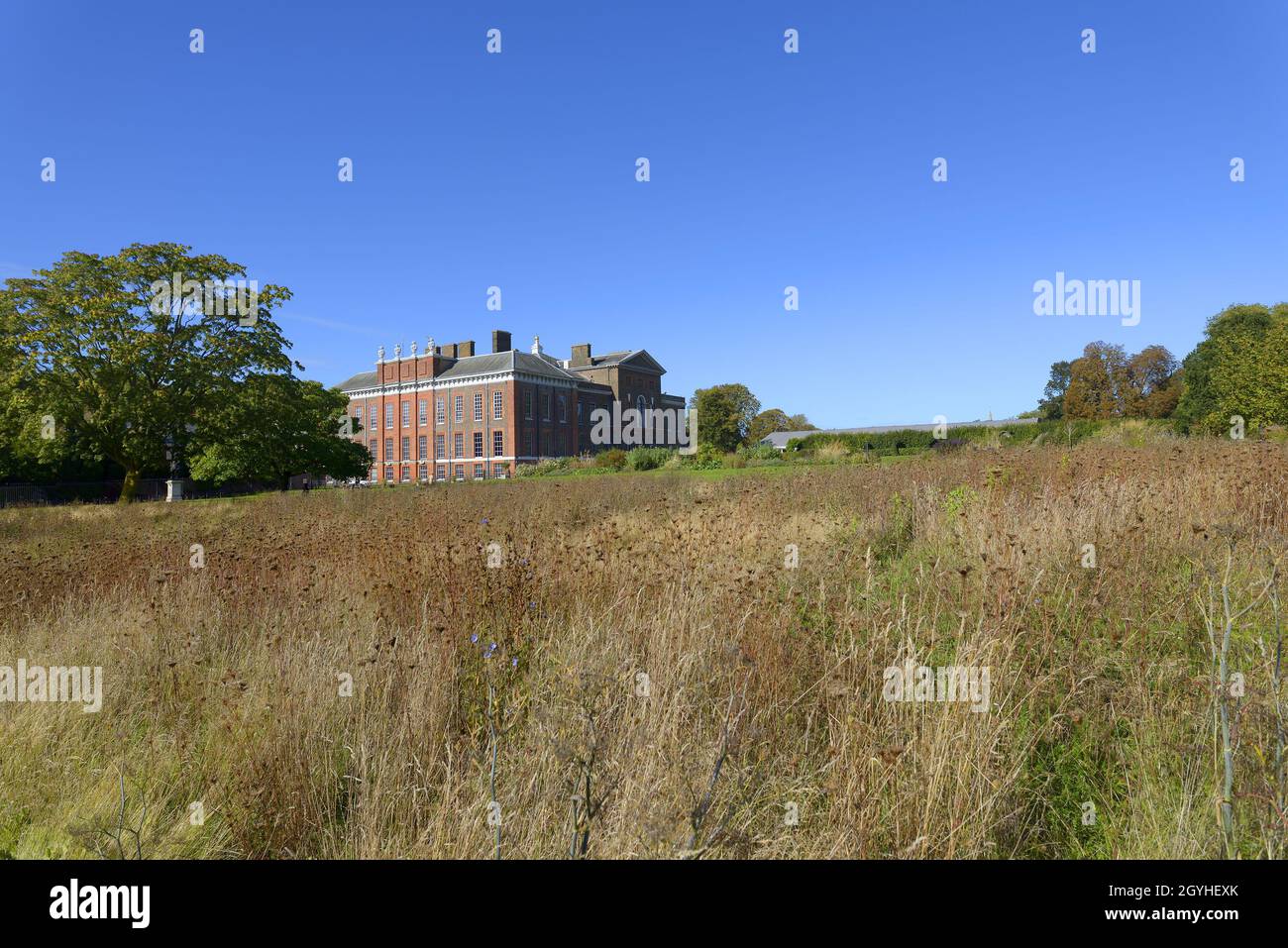 London, England, UK. Kensington Gardens: Wildflower meadow by ...