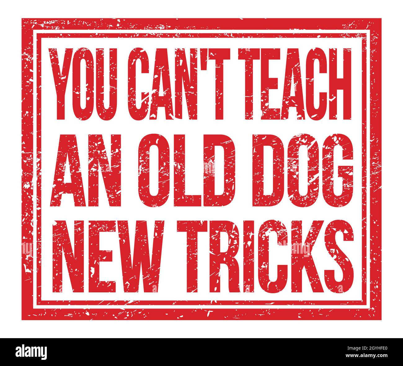 Why Cant Old Dogs Learn New Tricks