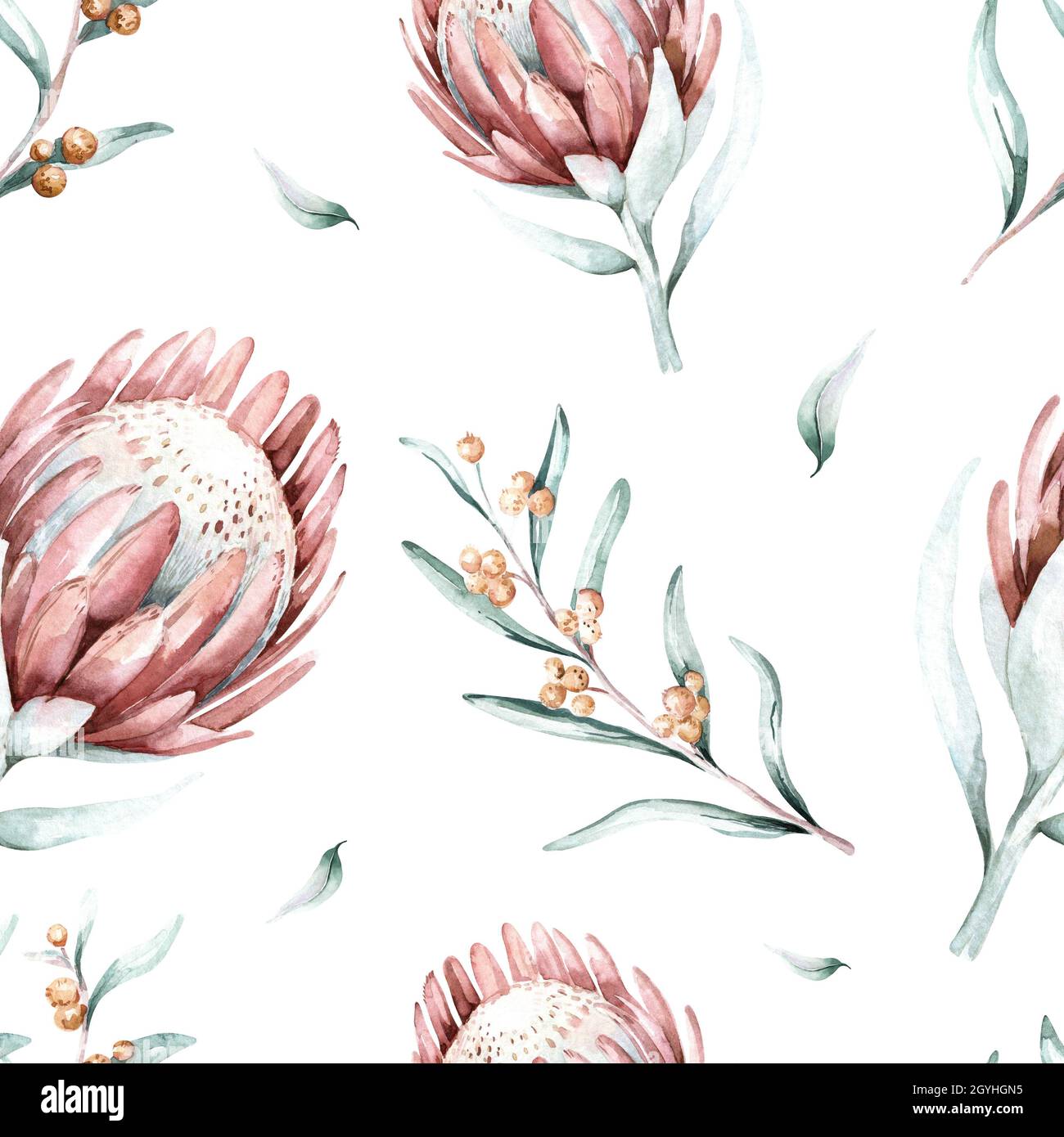 Protea seamless pattern flower. watercolor tropical leaves, hand ...
