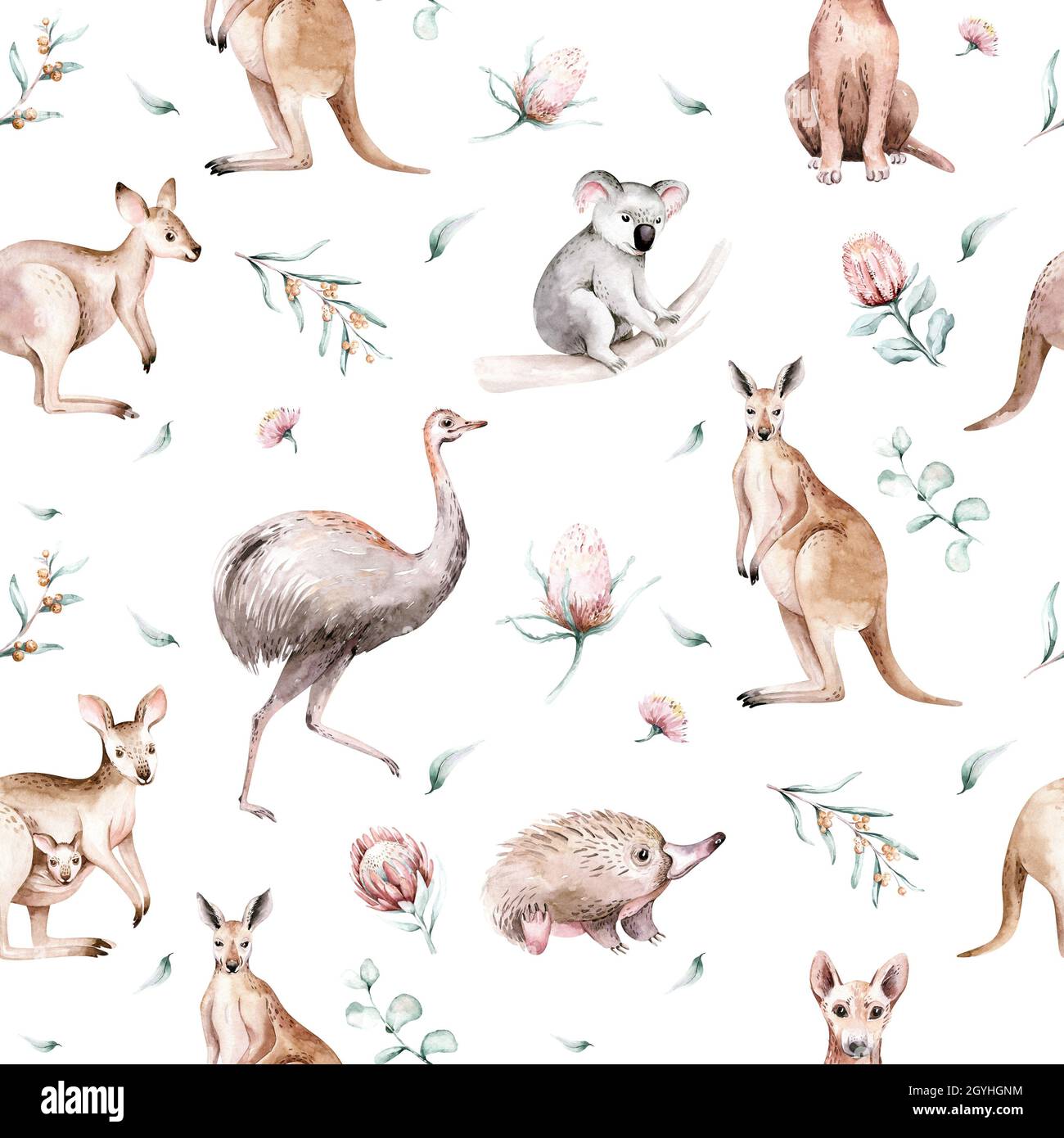 Watercolor australian cartoon kangaroo seamless pattern. Australian ...