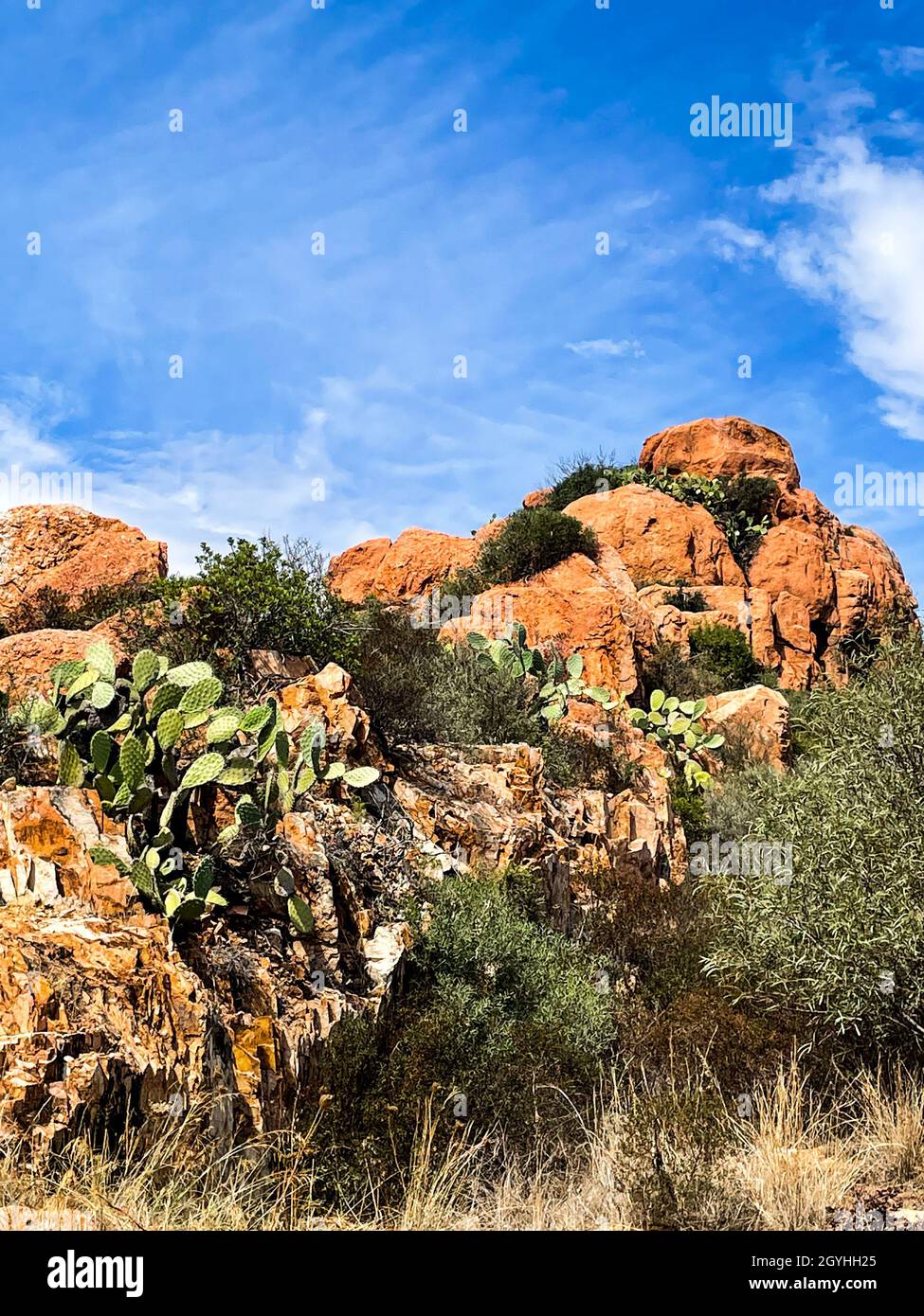 Rock covered with green plants under a blue sky Stock Photo - Alamy