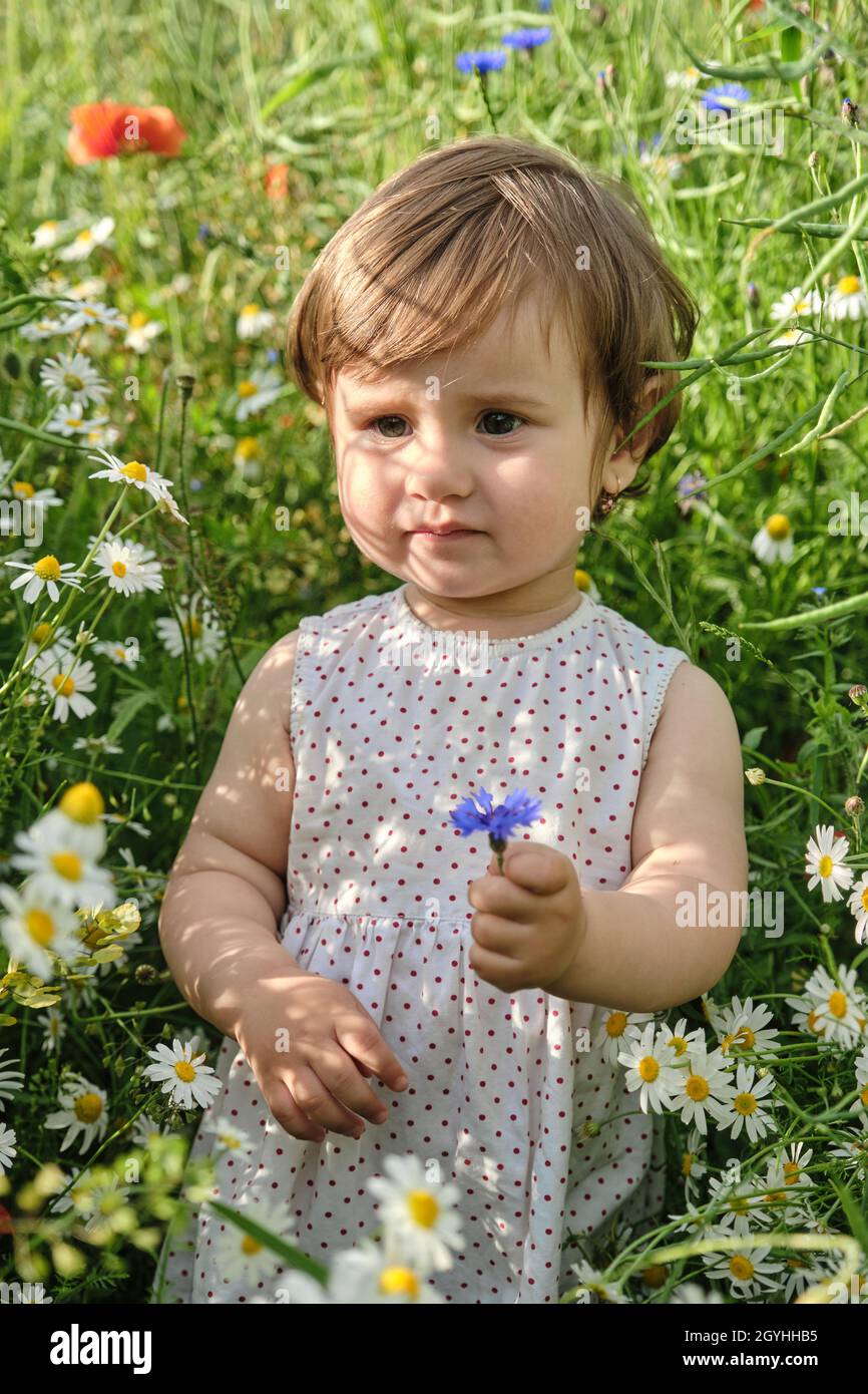 Cute Little Girl Is Standing In The Middle Of Flowers Green Plants ...