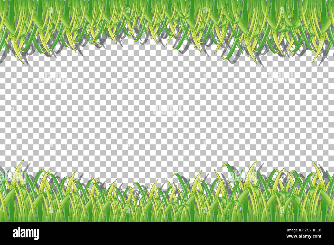 Nature plants frame transparent background illustration Stock Vector ...