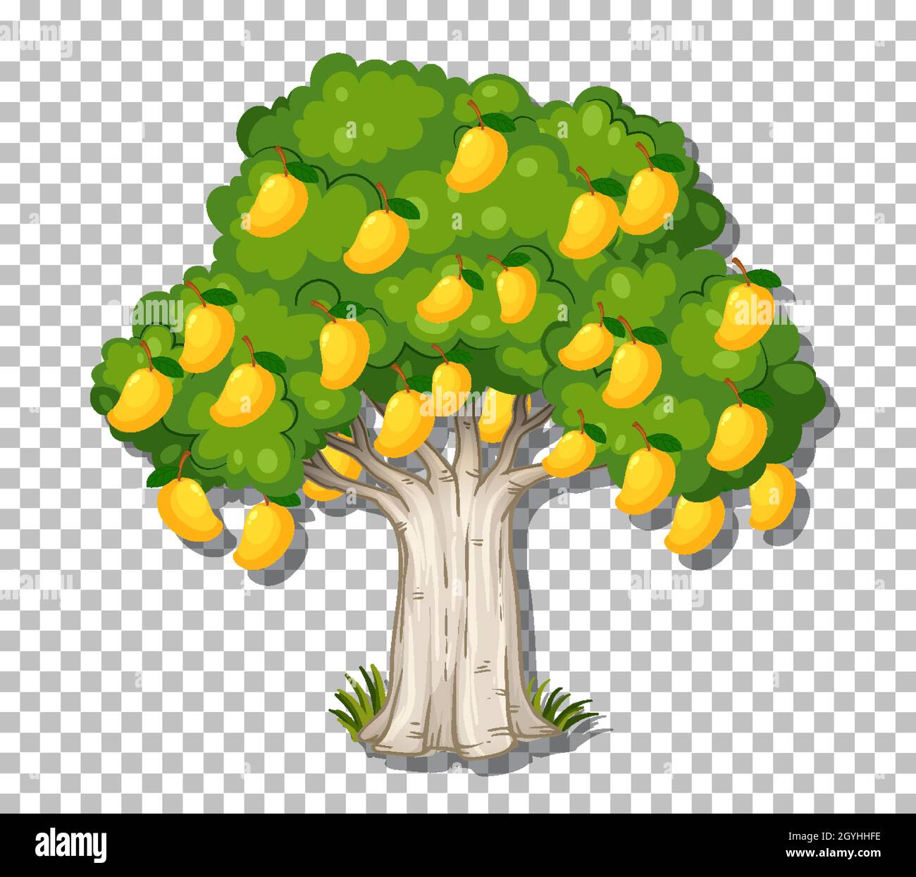 Mango tree on transparent background illustration Stock Vector Image ...