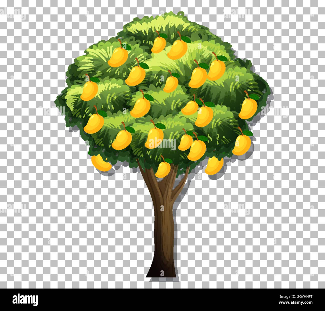 Mango tree on transparent background illustration Stock Vector Image ...
