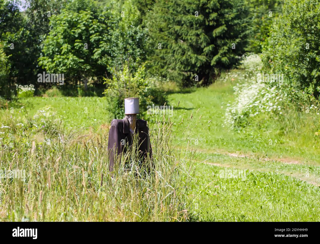 Scarecrow in rural field Stock Photo - Alamy