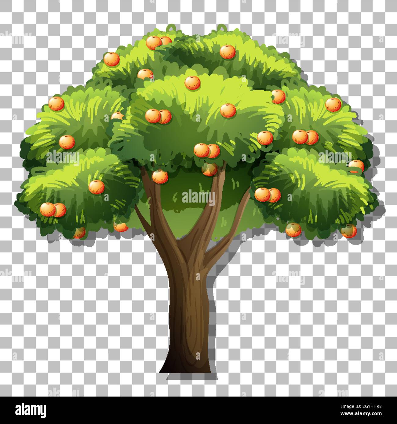 Orange tree on transparent background illustration Stock Vector Image ...