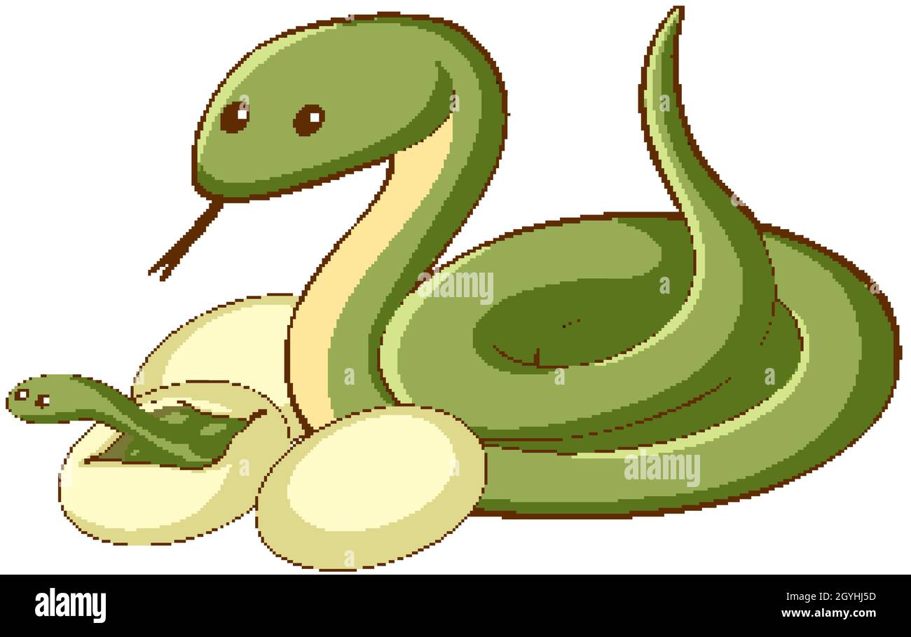 Green snake with eggs animal cartoon on white background illustration ...