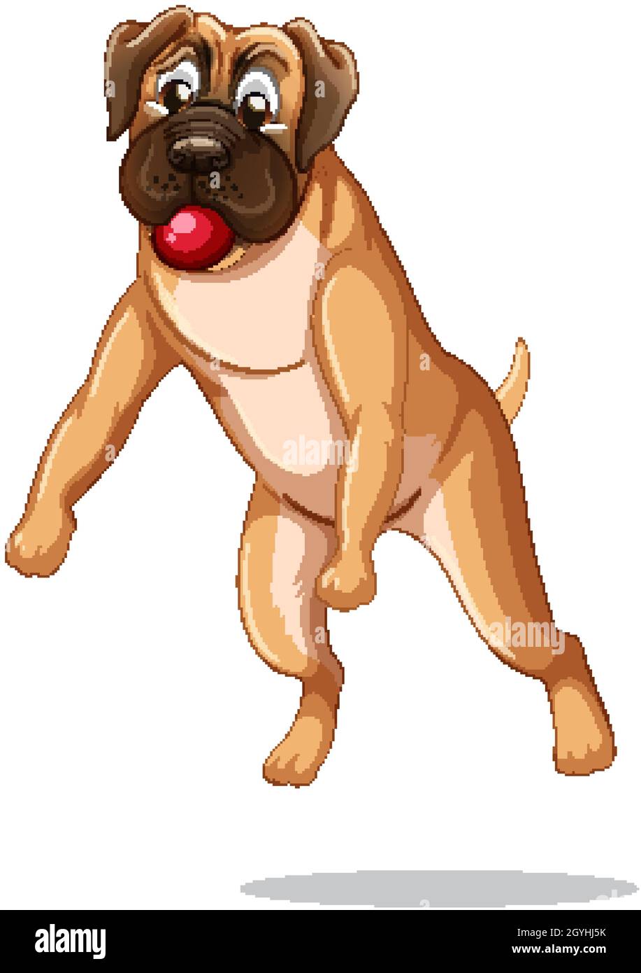 Boxer dog cartoon on white background illustration Stock Vector Image ...