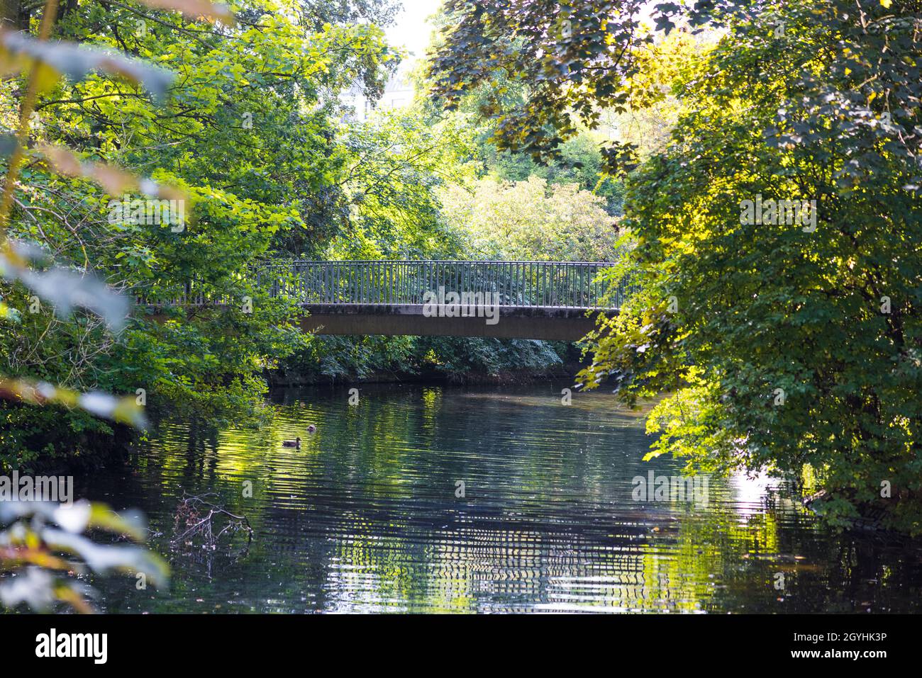 Bridge over garden lake hi-res stock photography and images - Alamy