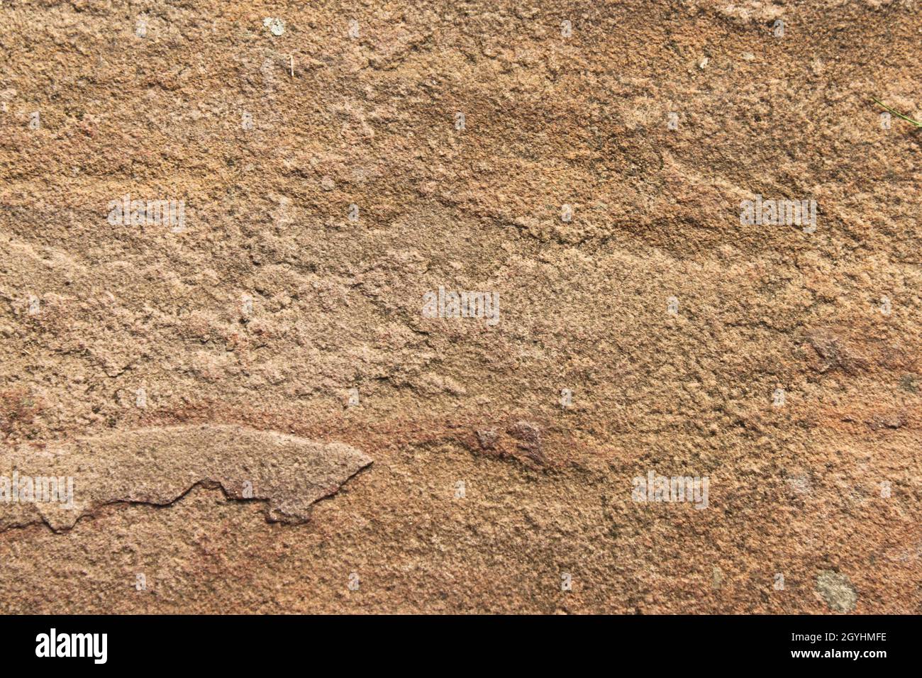 close up of a sanstone surface Stock Photo - Alamy