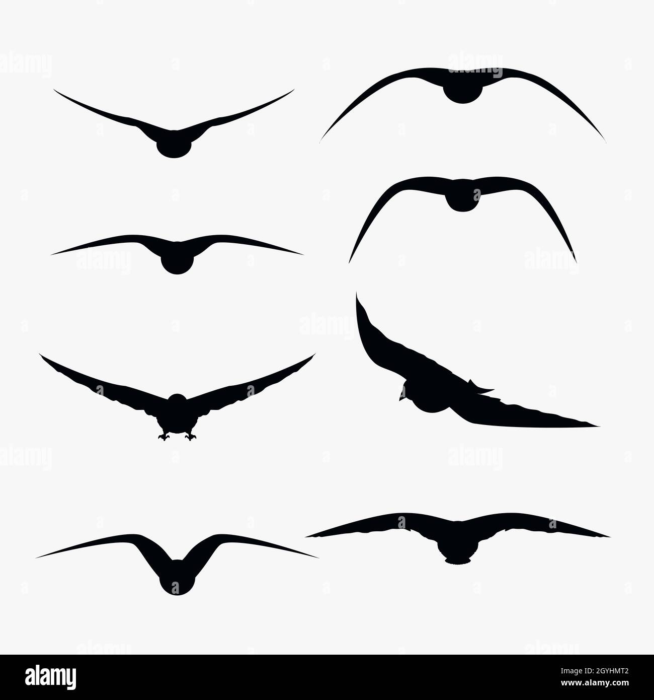 Flock birds flying in shape Cut Out Stock Images & Pictures - Alamy