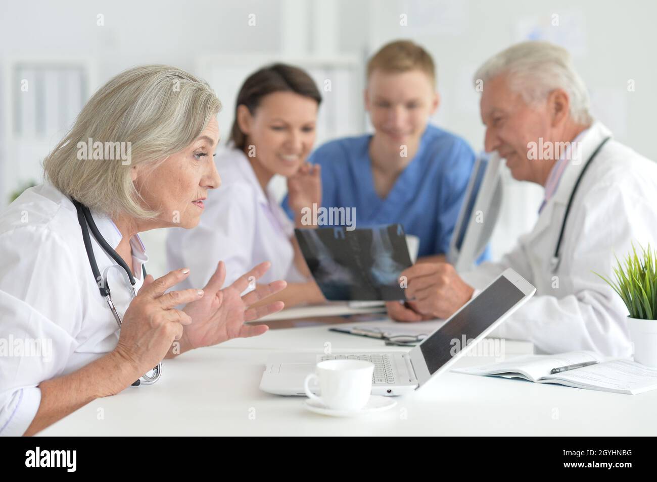Portrait of professional doctors working at hospital Stock Photo - Alamy