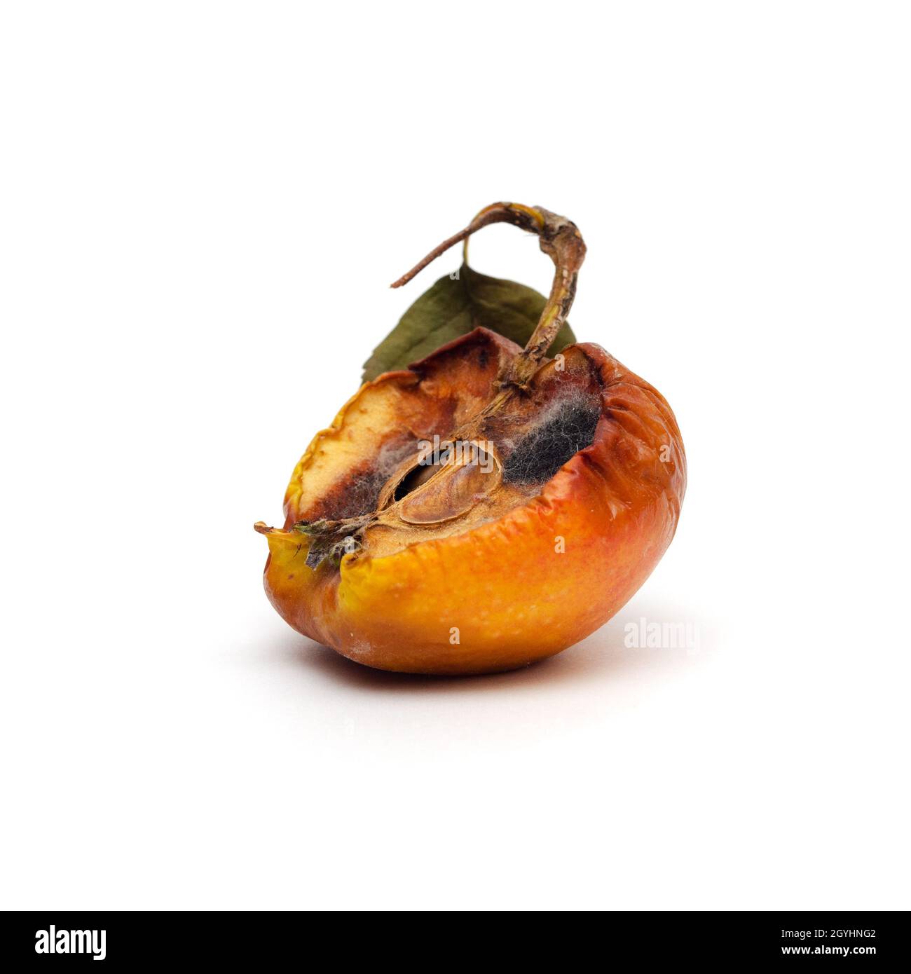 The half of rotten apple with leaf turned sideways isolated on white ...