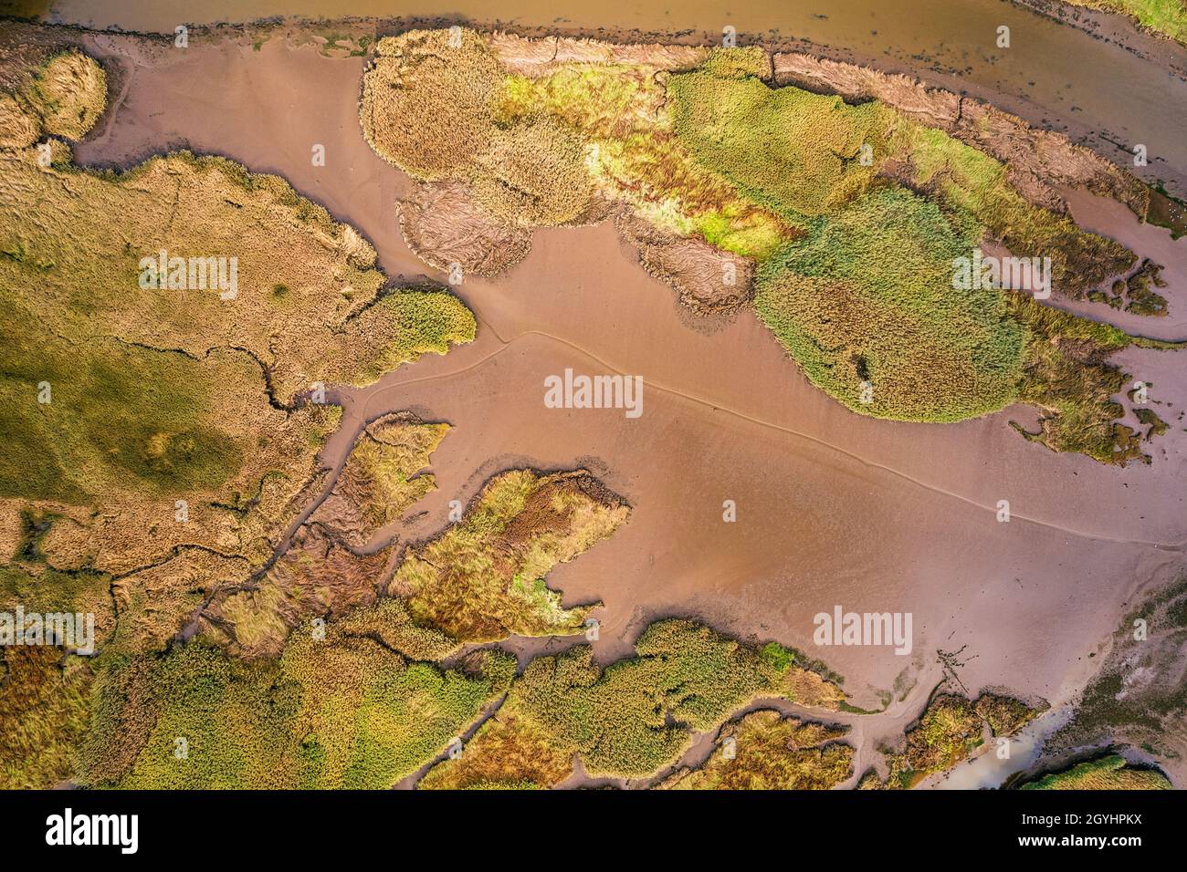 Newton abbot beach hi-res stock photography and images - Alamy