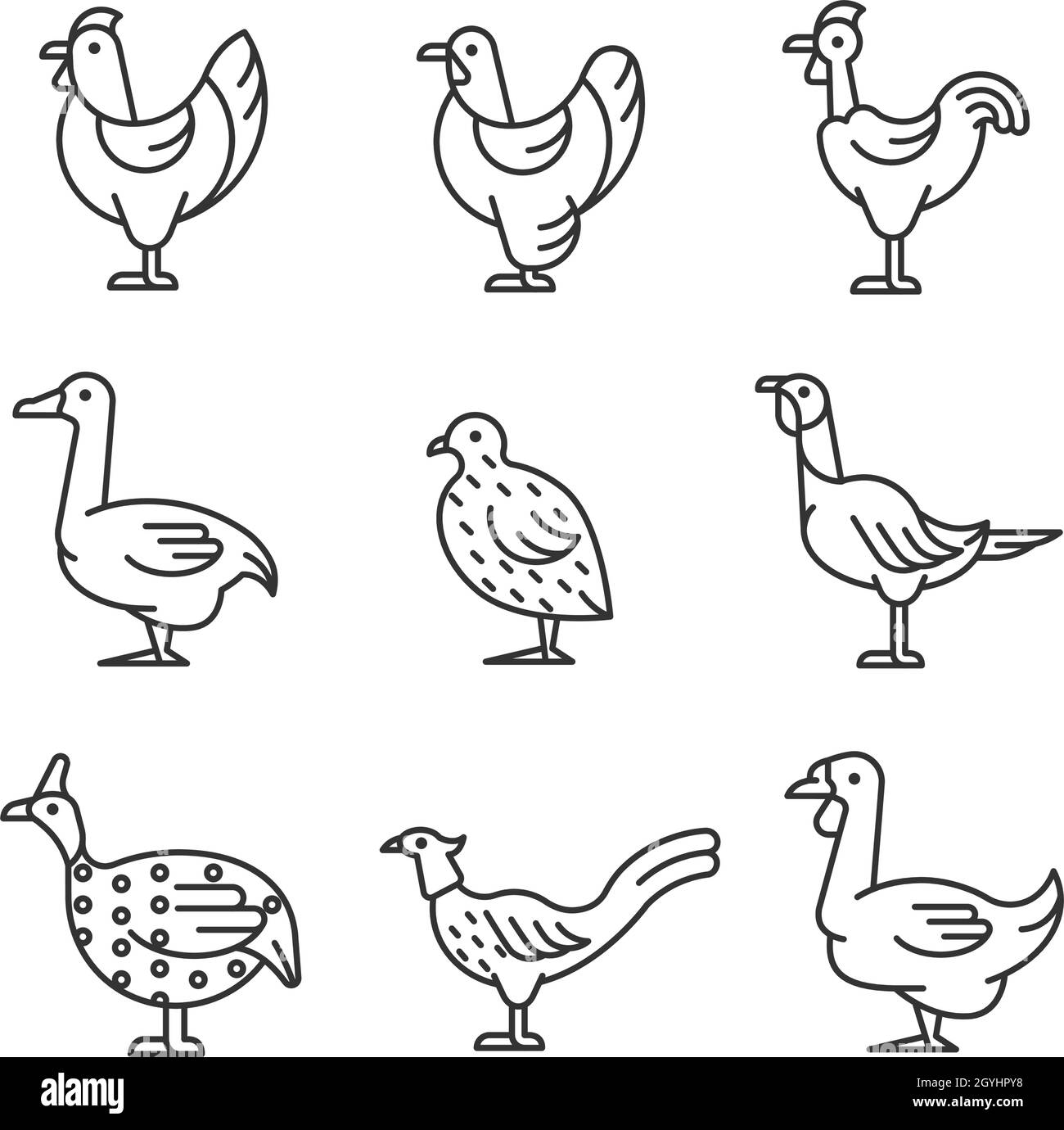 Domesticated birds linear icons set Stock Vector Image & Art - Alamy