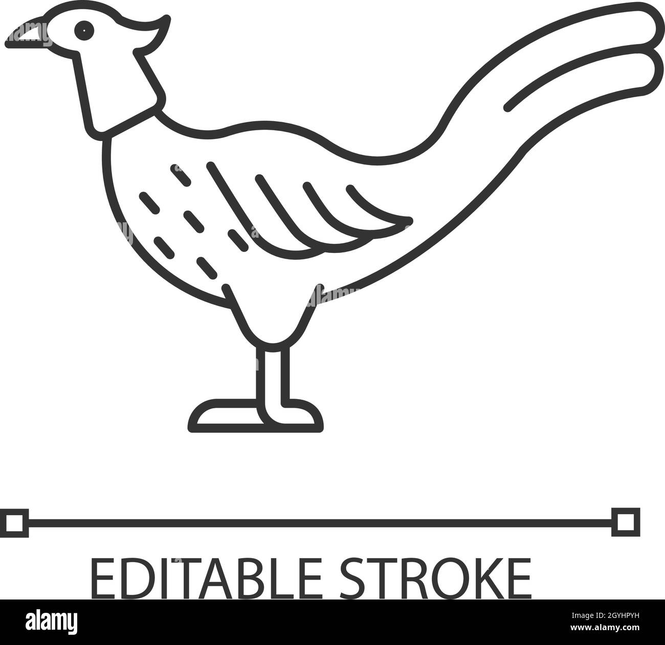 Male pheasant linear icon Stock Vector Image & Art - Alamy