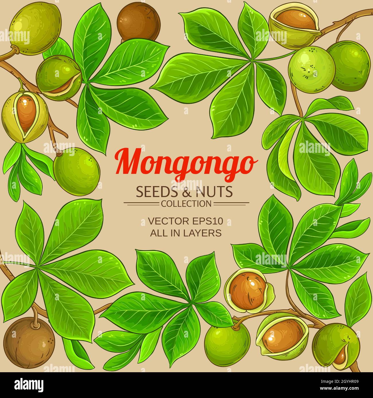 mongongo vector frame on color background Stock Vector Image & Art - Alamy