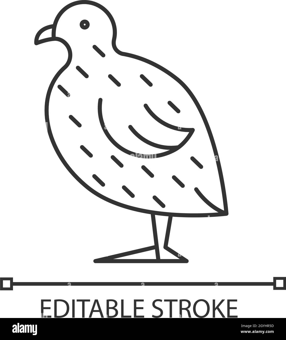 Japanese quail linear icon Stock Vector Image & Art - Alamy