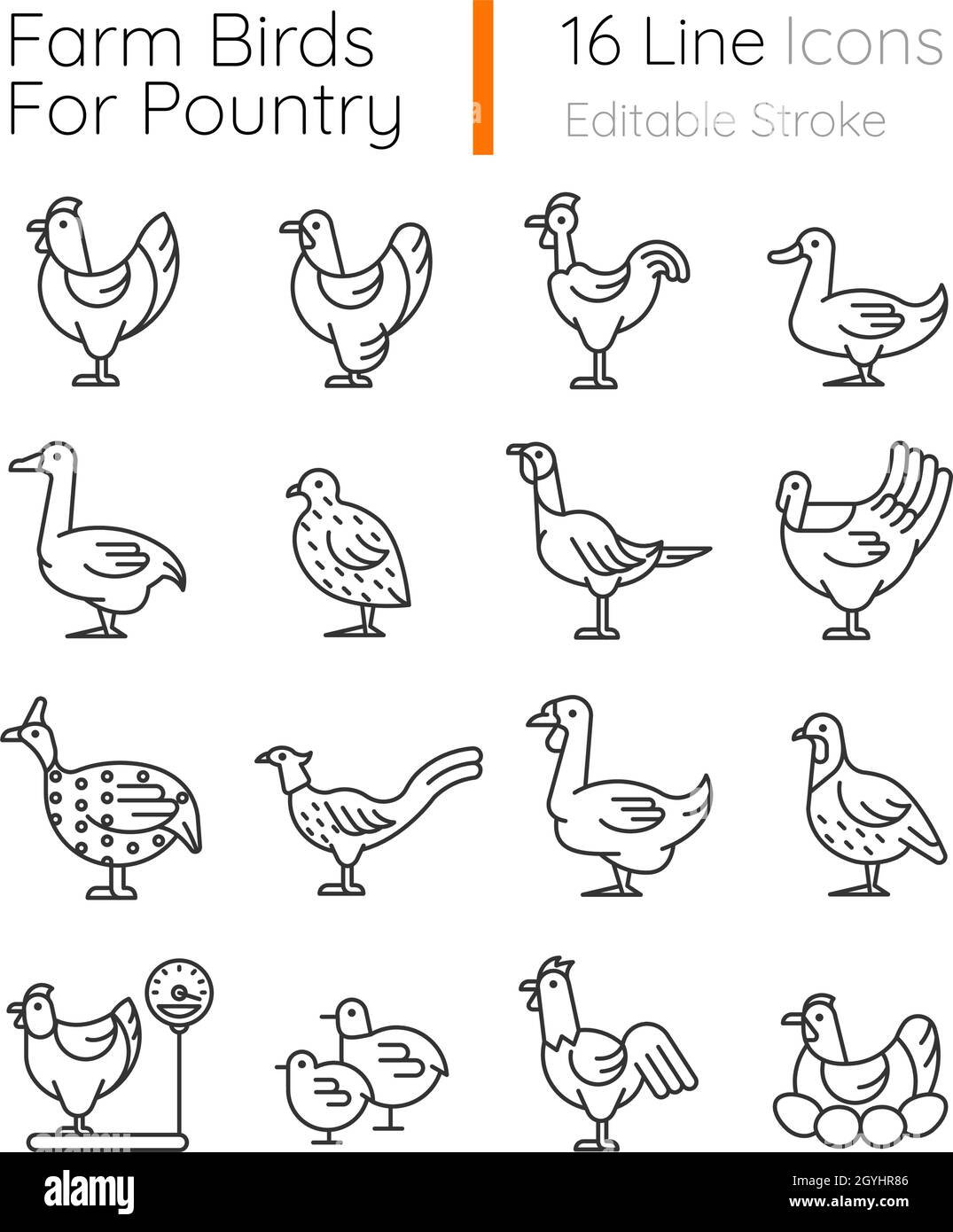 Farm birds for poultry linear icons set Stock Vector Image & Art - Alamy