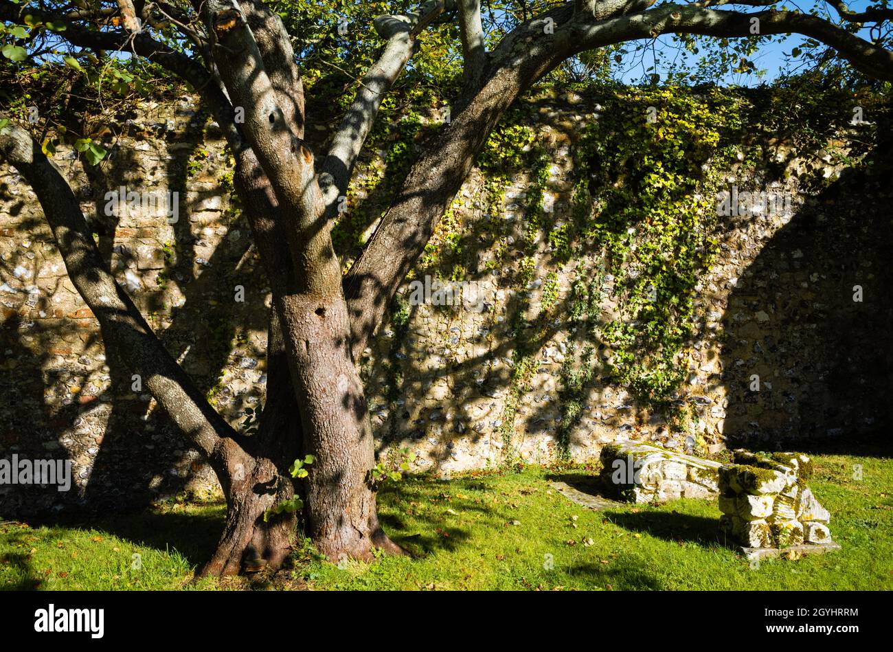 Boxgrove Priory Church High Resolution Stock Photography and Images - Alamy
